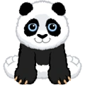 Panda Cub | Webkinz Wiki | Fandom