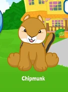 Chipmunk (2008) | Webkinz Wiki | Fandom