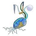 Chilly Cyprus Enchanted Sapling | Webkinz Wiki | Fandom