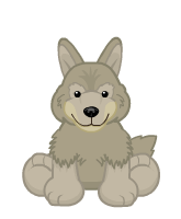 Coyote | Webkinz Wiki | Fandom