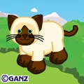 Siamese | Webkinz Wiki | Fandom