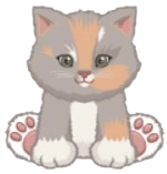 Bobtail Kitten | Webkinz Wiki | Fandom