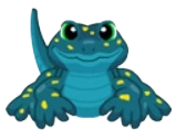 Blue Salamander | Webkinz Wiki | Fandom