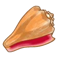 Conch Shell | Webkinz Wiki | Fandom