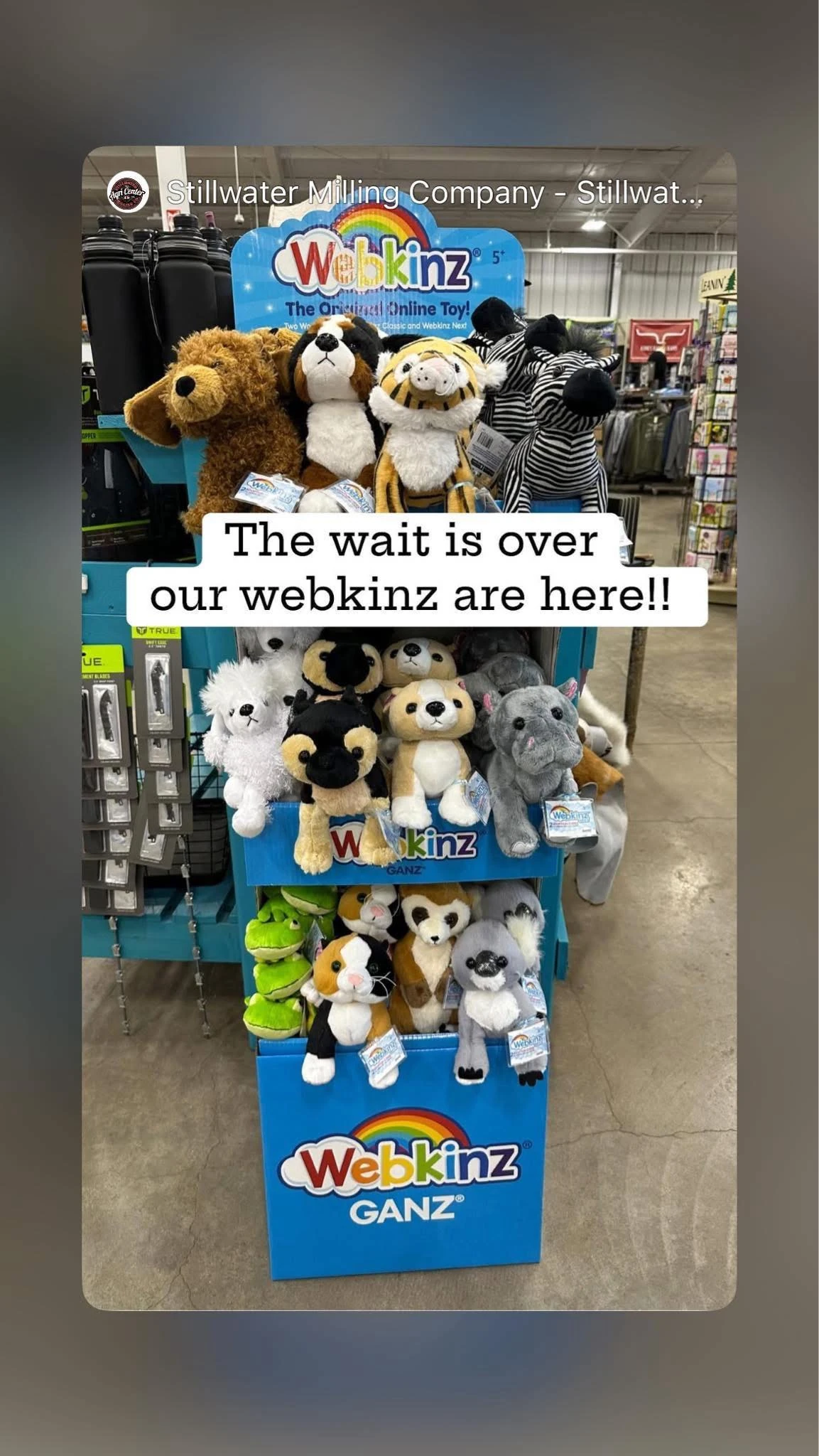 Oklahoma Official Retailers | Webkinz Wiki | Fandom