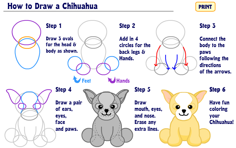 Lil'Kinz Chihuahua | Webkinz Wiki | Fandom