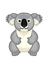 Signature Koala | Webkinz Wiki | Fandom