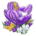 Crocus Bed | Webkinz Wiki | Fandom