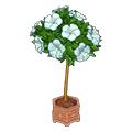 Magnolia Tree | Webkinz Wiki | Fandom