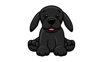 Black Labrador | Webkinz Wiki | Fandom