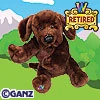 Chocolate Lab | Webkinz Wiki | Fandom