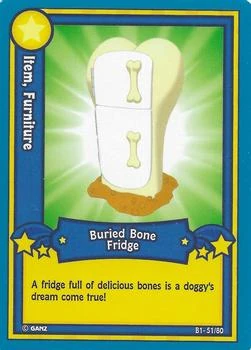 B1-51 - Buried Bone Fridge | Webkinz Wiki | Fandom