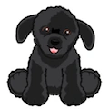 Small Signature Black Lab | Webkinz Wiki | Fandom