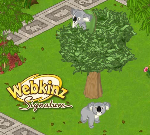 Signature Koala | Webkinz Wiki | Fandom