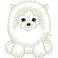 Teacup Pomeranian | Webkinz Wiki | Fandom