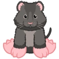 Grey Vole | Webkinz Wiki | Fandom