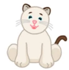 Domestic Cat | Webkinz Wiki | Fandom