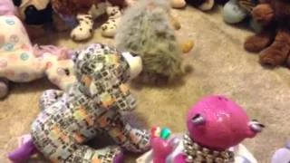 Season 3 | Webkinz Reality TV Show Wiki | Fandom