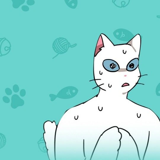 Meow Man | Webtoon Wiki | Fandom