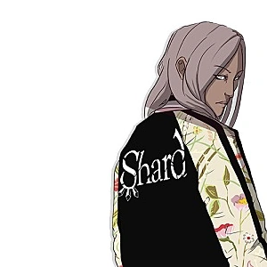 Shard | Webtoon Wiki | Fandom