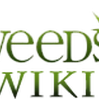 Lisa Ferris | Weeds Wiki | Fandom