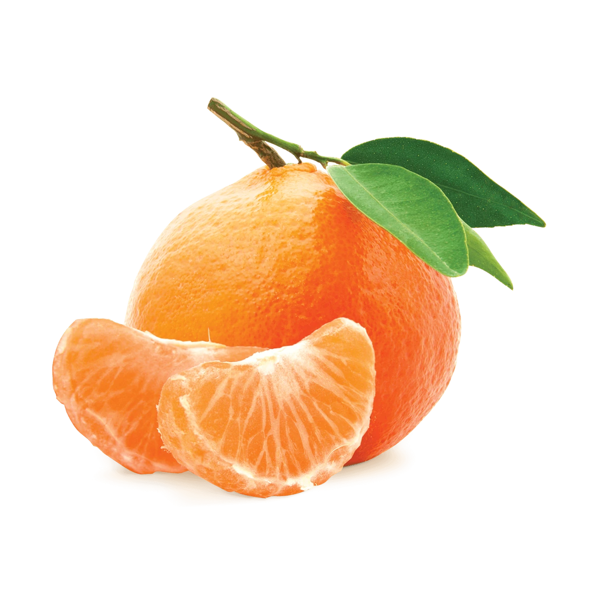 Mandarin | Weekly Planet Wiki | Fandom