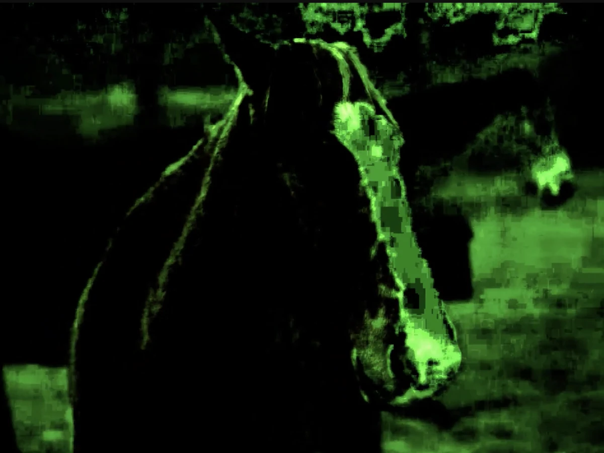 Green Horse Entity | Weeknight Horror Wiki | Fandom