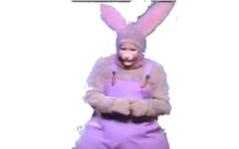 Little Bunny Foo Foo (character) | Wee Sing Wiki | Fandom
