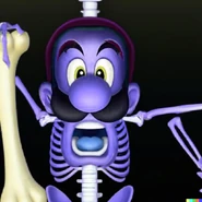 Wega | Wega Wiki | Fandom