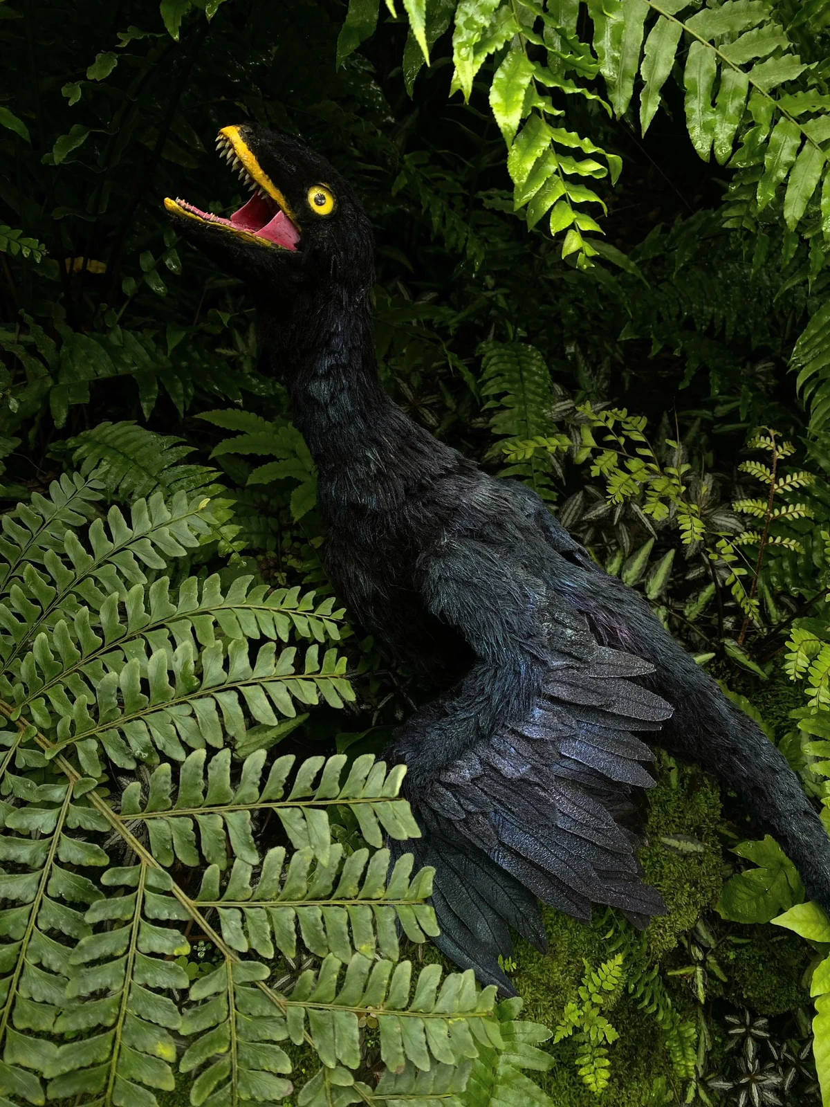 Microraptor | Weirdbirds Wiki | Fandom