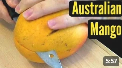 Australian Mango | Weird Explorer Wiki | Fandom