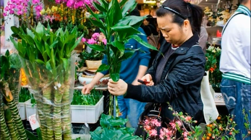 Category:Very Minor Characters | Weird Explorer Wiki | Fandom