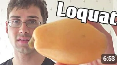 Loquat | Weird Explorer Wiki | Fandom