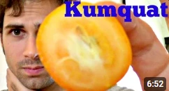 Kumquat | Weird Explorer Wiki | Fandom