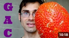 Gac | Weird Explorer Wiki | Fandom