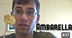 Ambarella | Weird Explorer Wiki | Fandom