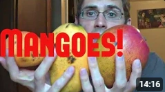 Mango Challenge | Weird Explorer Wiki | Fandom