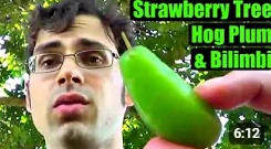 Miami Fruit & Spice Park Review 2 | Weird Explorer Wiki | Fandom