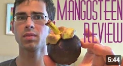 Mangosteen | Weird Explorer Wiki | Fandom