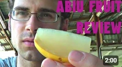 Abiu | Weird Explorer Wiki | Fandom