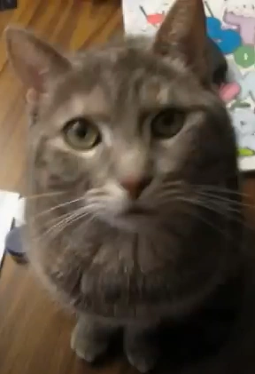 Lethean | Weird Explorer Wiki | Fandom