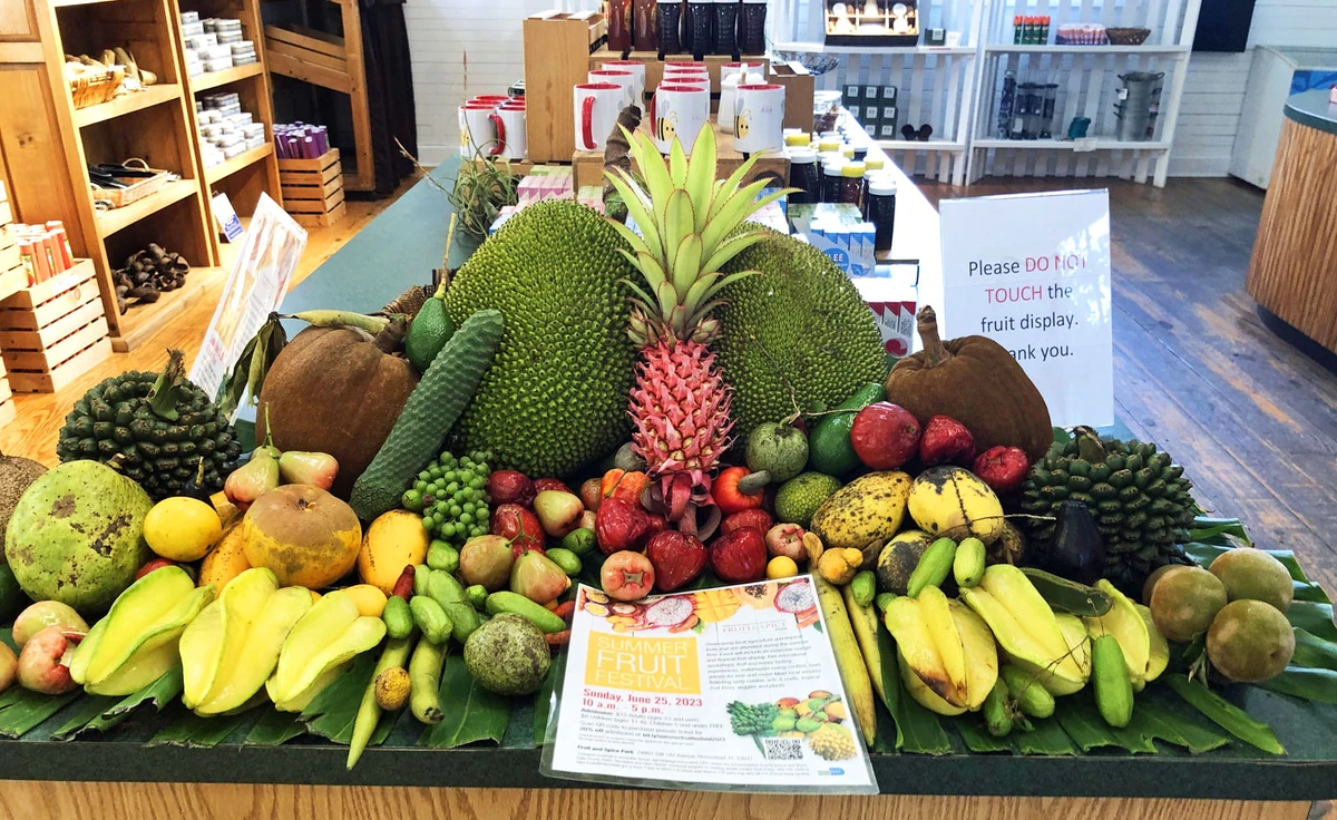 Miami Fruit & Spice Park | Weird Explorer Wiki | Fandom