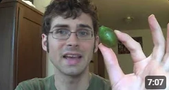 Guinep | Weird Explorer Wiki | Fandom