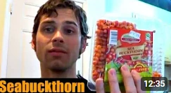 Seabuckthorn | Weird Explorer Wiki | Fandom