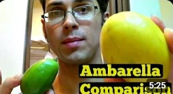 Ambarella Comparison | Weird Explorer Wiki | Fandom