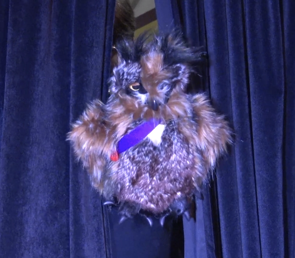 Austered Owl | Weird Owl Karaoke Wiki | Fandom