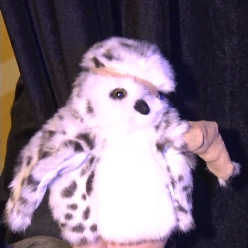 Cleared Owl | Weird Owl Karaoke Wiki | Fandom