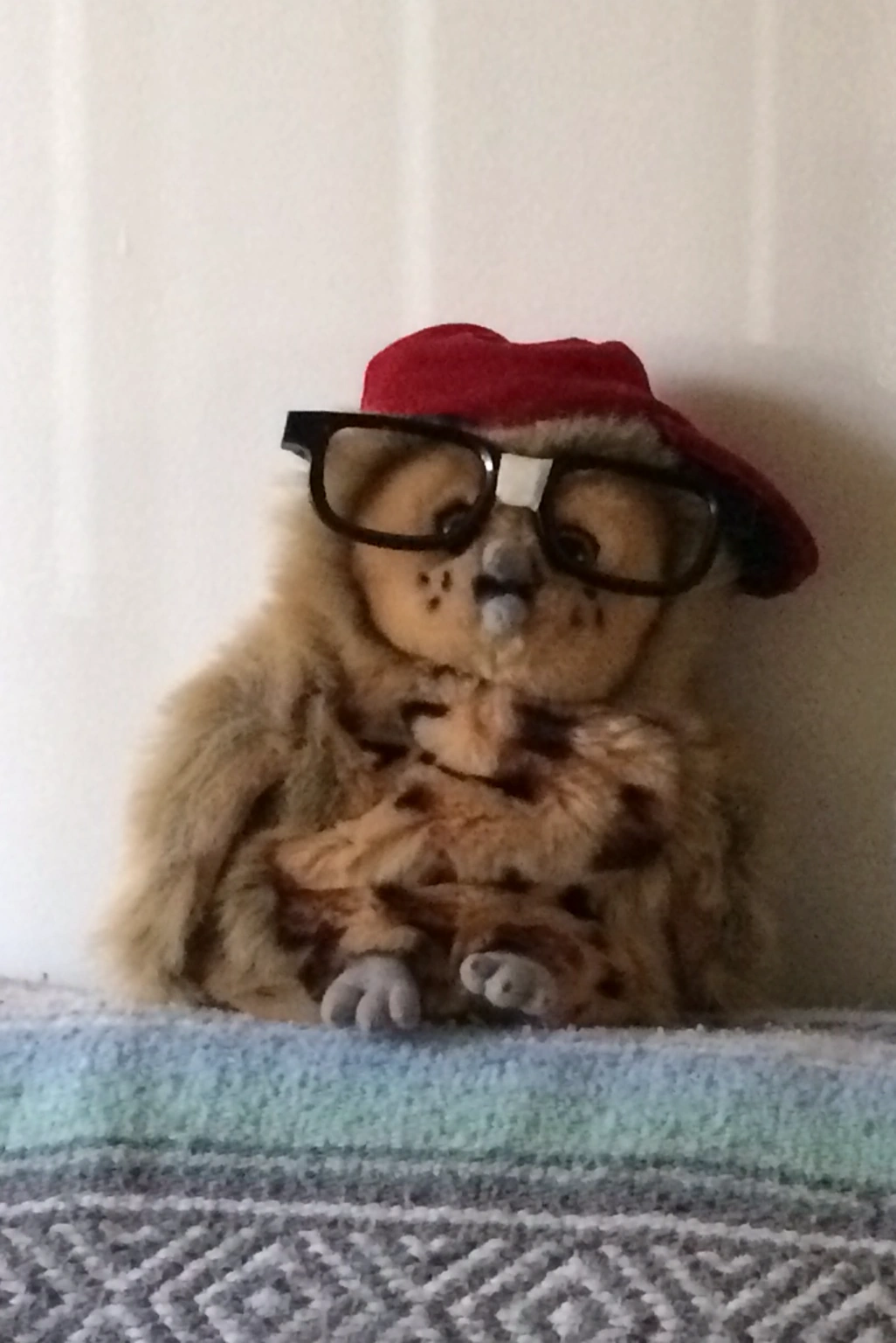 Weird Owl Jr. | Weird Owl Karaoke Wiki | Fandom