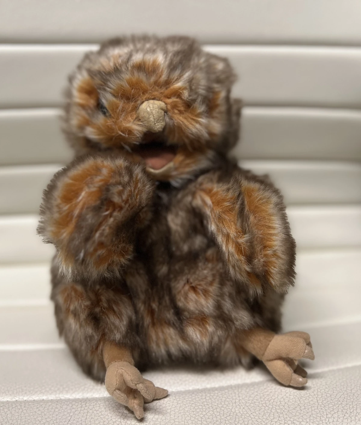 Weird Owl Jr Jr | Weird Owl Karaoke Wiki | Fandom