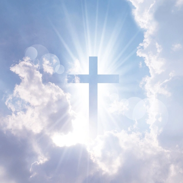 Holy Magic | Wiki Weird Dream | Fandom